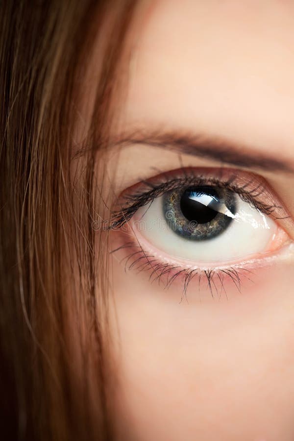 Female eye stock image. Image of colour, eyelid, hypnotic - 19288397