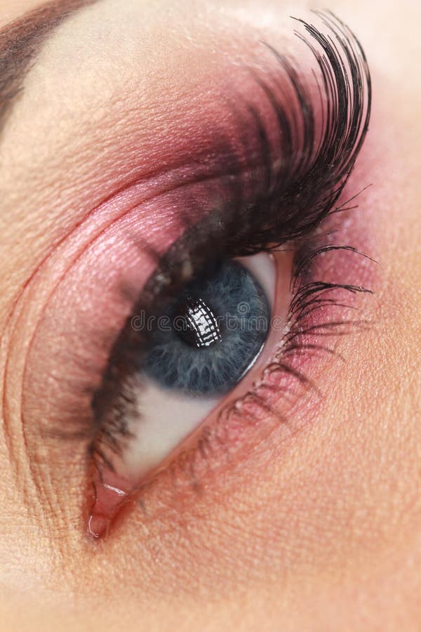 Female eye stock image. Image of eyeshadows, human, fashion - 24104447