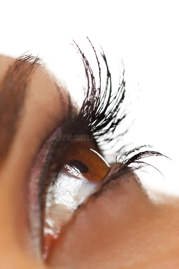Female eye stock image. Image of angle, fashion, eyelashes - 24661195