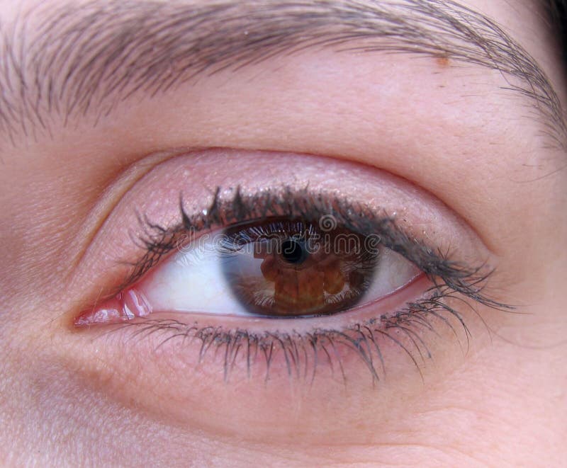 Female eye stock image. Image of girl, pupil, cornea, people - 706309