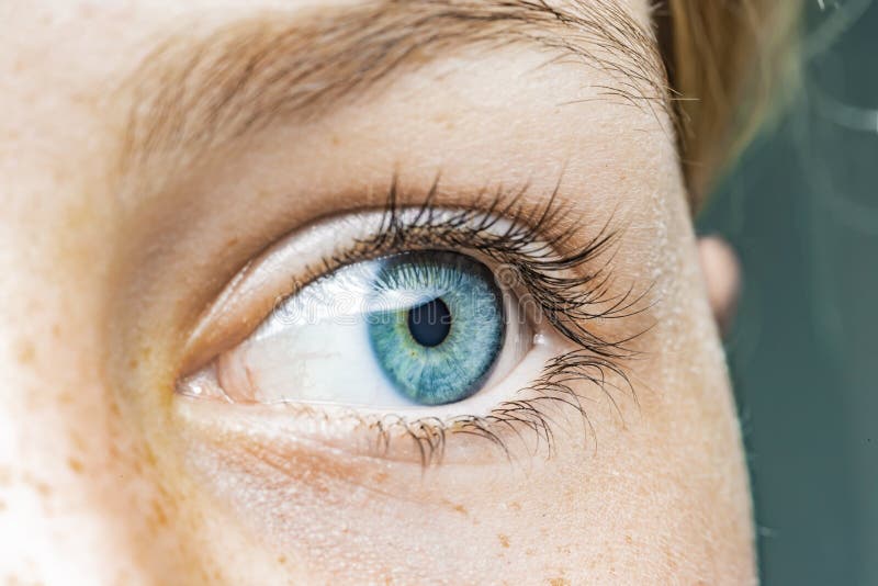 Female eye with blue iris stock image. Image of face - 173611635