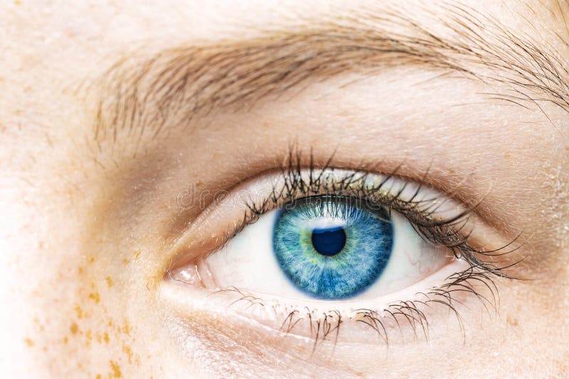 Eye with Blue Pupil Isolated on White Background Stock Image - Image of ...