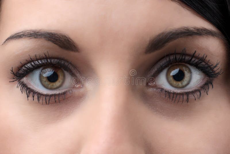 Female eye stock image. Image of macro, eyebrow, glance - 37753123