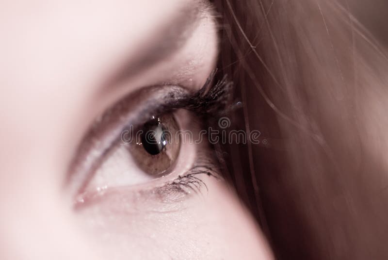 Female eye closeup stock image. Image of reflection, eyeball - 7605371