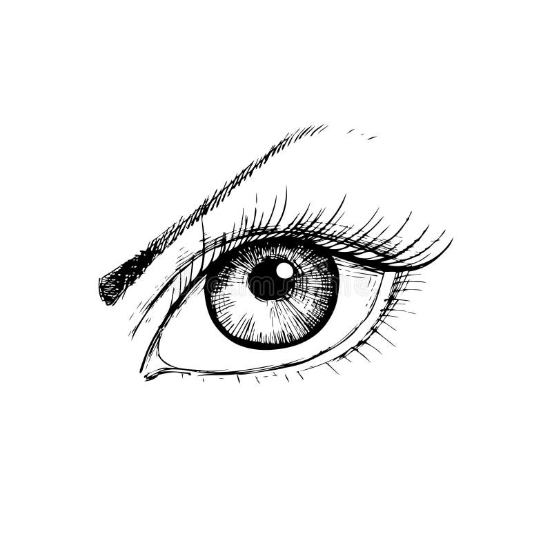 Female Eye with Hand- Drawing Style Stock Vector - Illustration of ...