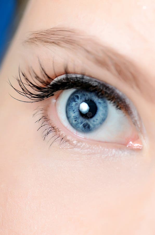 Female Eye with Long Eyelashes Stock Photo - Image of lady, clean: 32538818