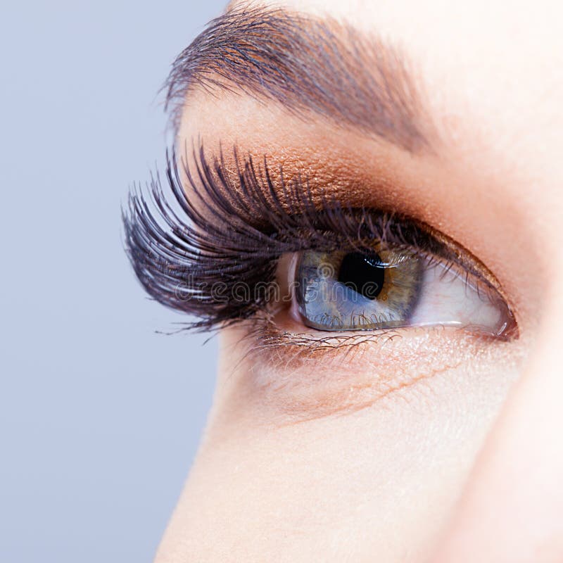 Female Eye with Long Eyelashes Stock Photo - Image of body, false: 50408048