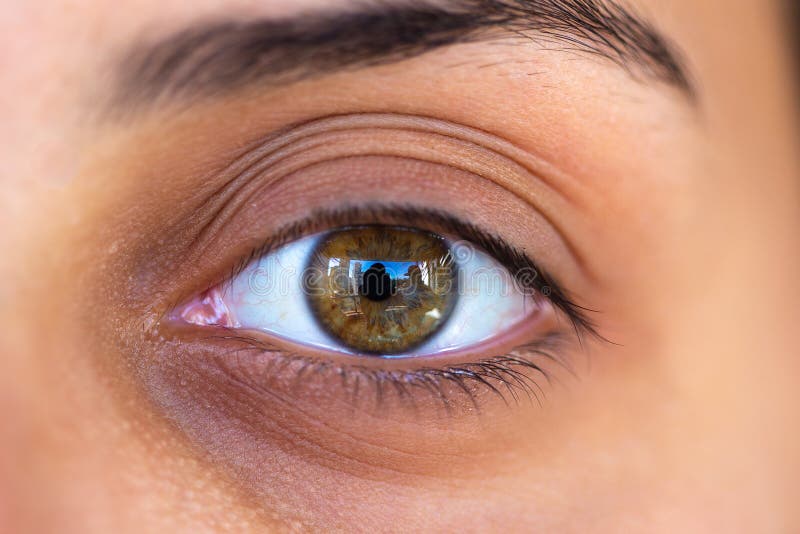 Female Eye Photographed with Macro Lens Stock Photo - Image of face ...