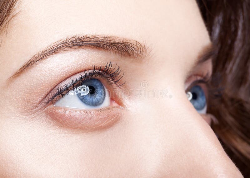Female Eye Zone and Brows with Day Makeup Stock Image - Image of ...