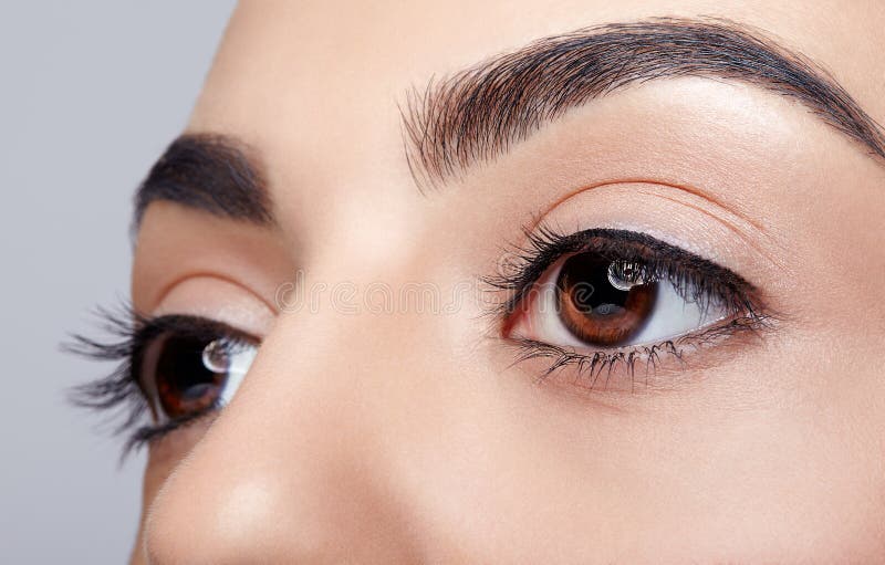 Female Eye Zone and Brows with Day Makeup Stock Image - Image of nose ...