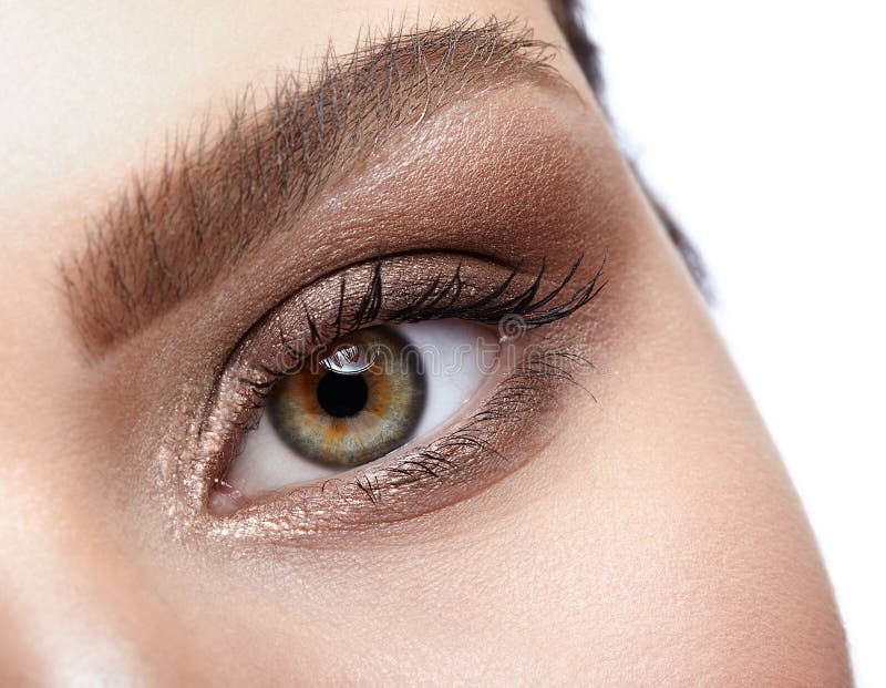 Female Eye Zone and Brows with Day Makeup Stock Image - Image of ...