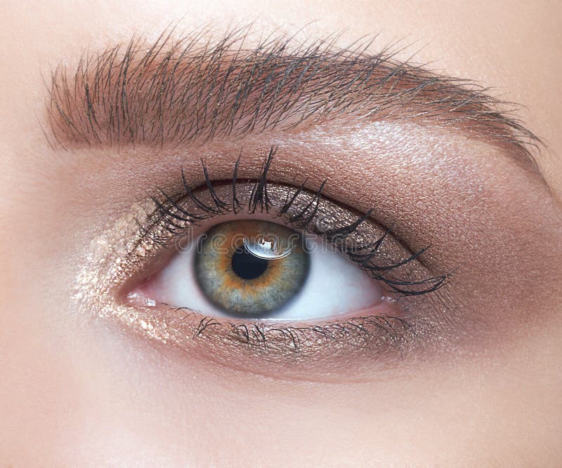 Female Eye Zone and Brows with Day Makeup Stock Image - Image of ...