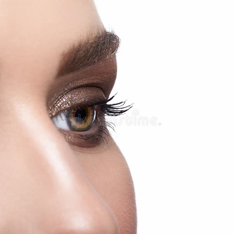 Female Eye Zone and Brows with Day Makeup Stock Image - Image of iris ...