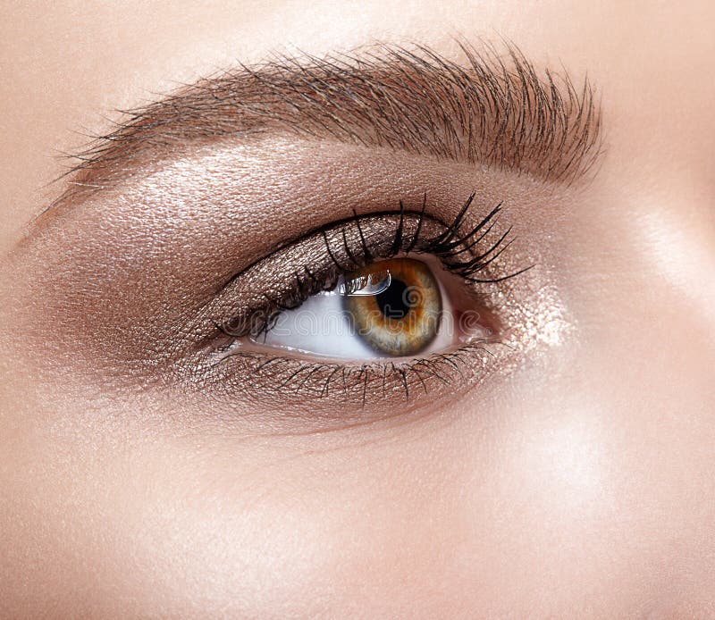 Female Eye Zone and Brows with Day Makeup Stock Image - Image of glamor ...