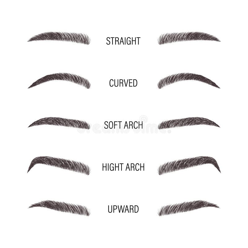 How To Draw Arched Eyebrows - Forcesurgery24