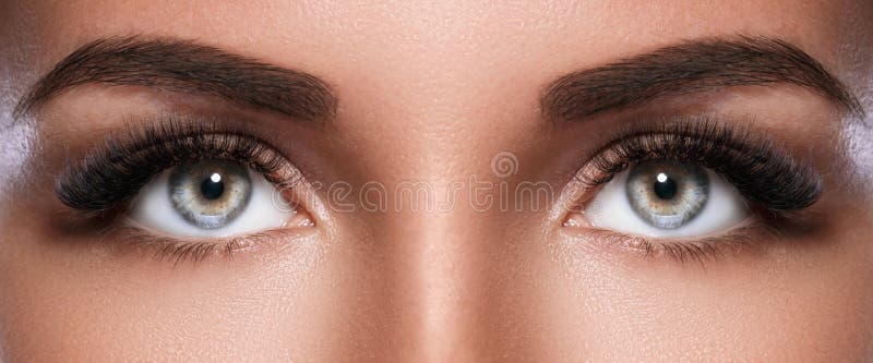 Female Face with Beautiful Eyebrows and Artificial Eyelashes Stock ...