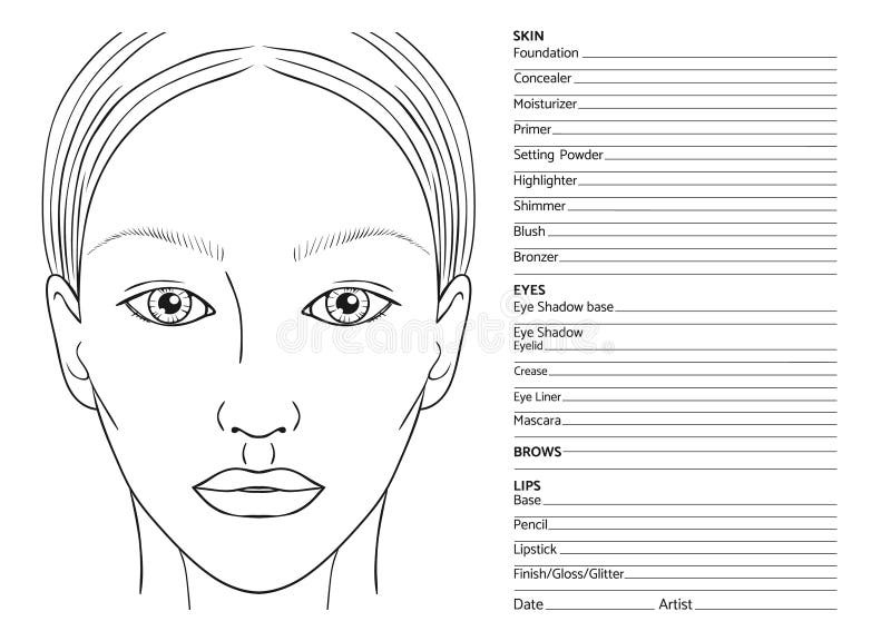 Female face chart stock vector. Illustration of chart - 238099072