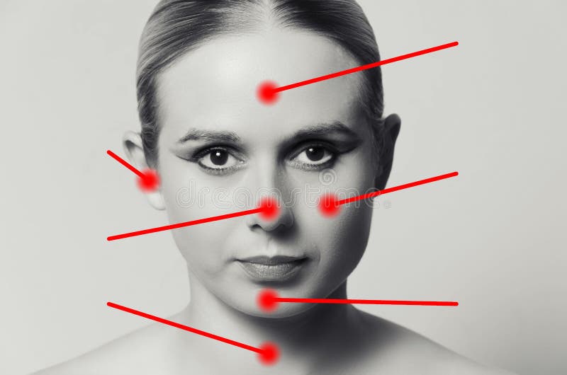 Female Face with Main Areas Pointed Out Stock Photo - Image of fresh ...