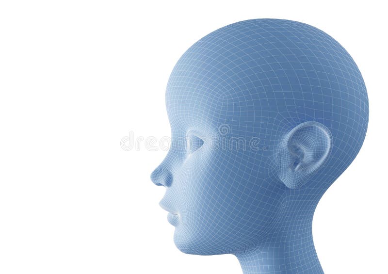 Female face profile stock illustration. Illustration of head - 8865872