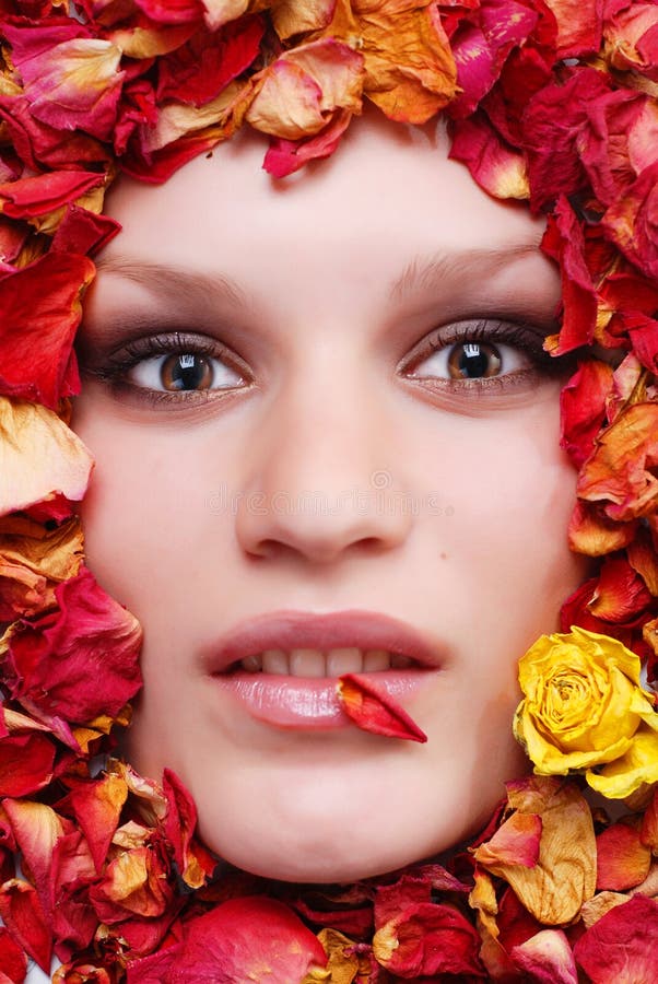Female face with roses stock photo. Image of close, medicine - 7593108