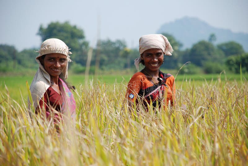 Female farmer editorial stock image. Image of female - 84722204
