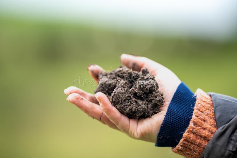 Female Farmer Testing Soil on a Farm Stock Photo - Image of farm ...