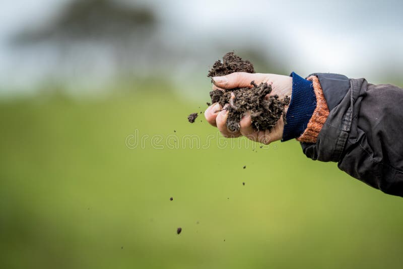 Female Farmer Using Technology To Test Soil. Farmer Taking a Photo of a ...