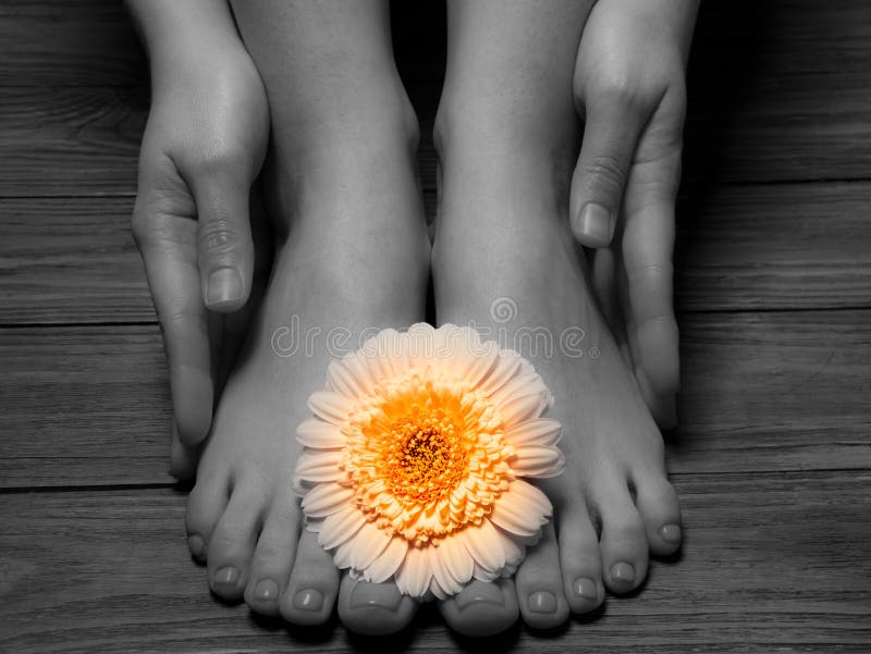Female Feet with Flowers on Wooden Background Stock Photo - Image of ...