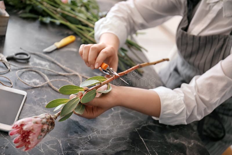 Female Florist Pruning Stem Over Table Stock Image - Image of adult ...