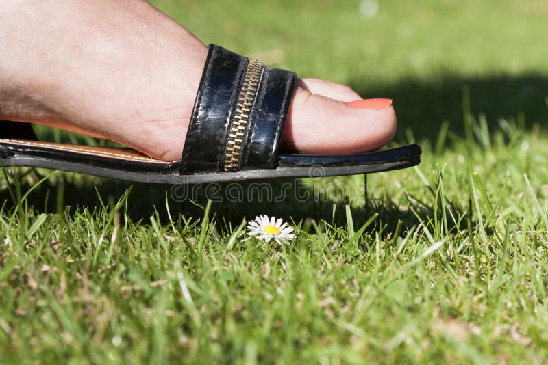 Female Foot Stepping on a Small Flower Stock Image - Image of green ...