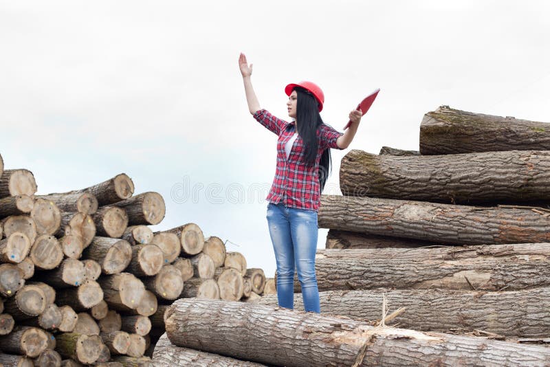 Female Forestry Engineer beside Logs Stock Photo - Image of arms ...