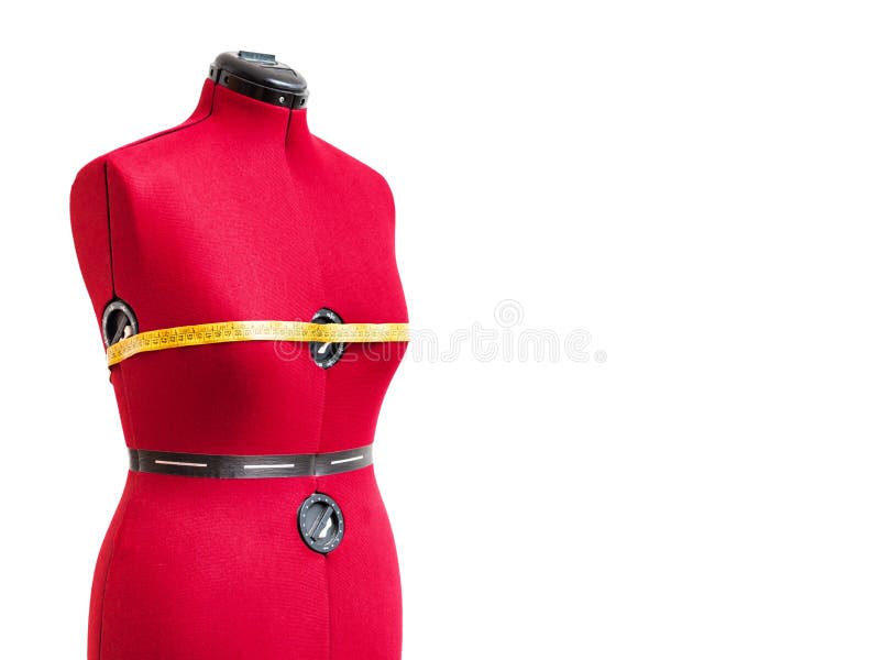 Female Form Dummy with Measured Breast Size Stock Image - Image of ...
