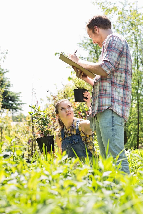 Female Gardener Showing Potted Plants To Supervisor at Garden Stock ... Female Gardener Showing Potted Plants To Supervisor at Garden Stock ...