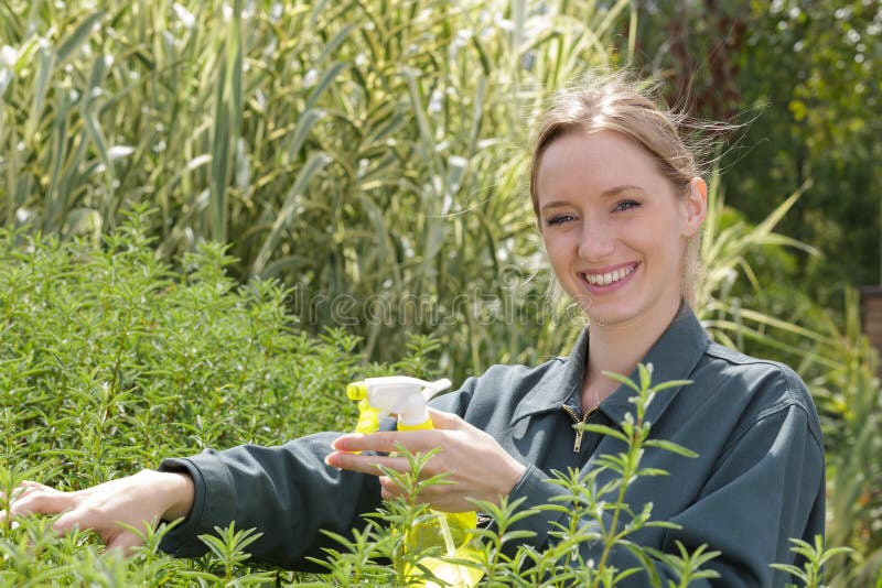 Female Gardener Spraying Plants Outdoors Stock Photo - Image of ...