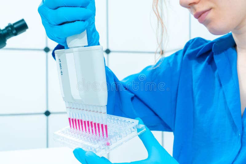 Female Genetic Laboratory Technician Working with Multi Pipette and ...