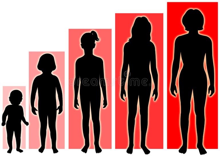 Female Growth Stages Silhouette Stock Illustrations – 184 Female Growth ...