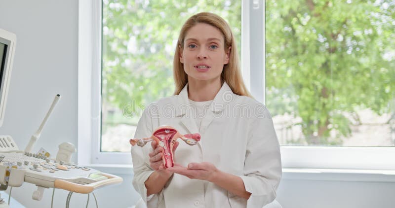 A Female Gynecologist In A Clinic Demonstrating And Explaining Female