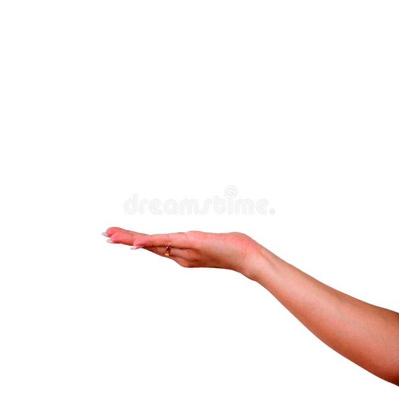 Female hand stock image. Image of bright, girl, giving - 5300677