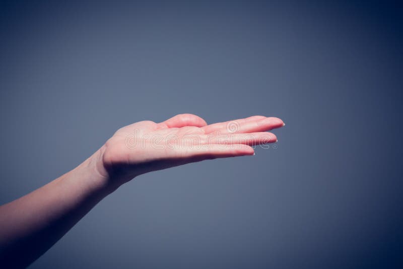 228 Woman Hand Held Out Stock Photos - Free & Royalty-Free Stock Photos ...