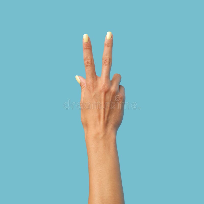 Female Hand on a Blue Background in Various Positions Stock Image ...