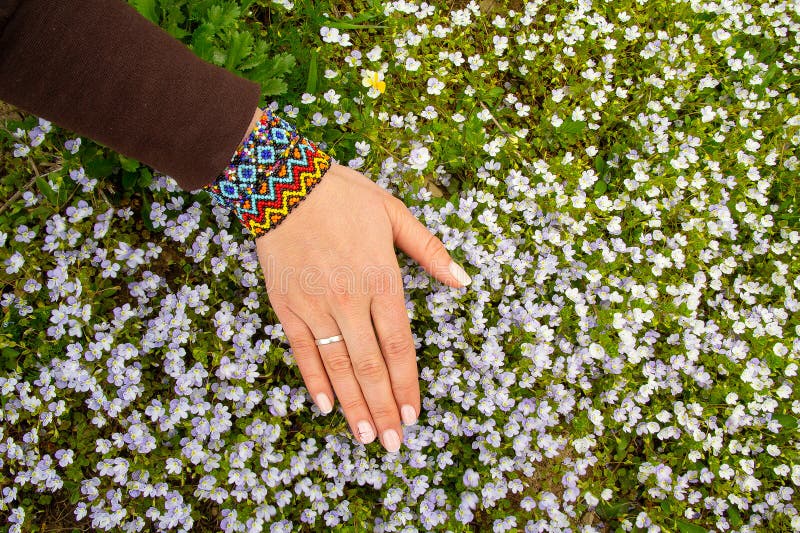 Female Hand with Bracelet and Wildflowers Stock Photo - Image of daisy ...