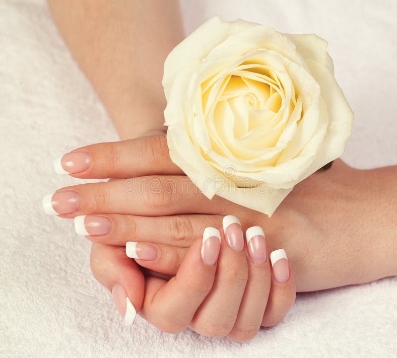 Female Hand with French Manicure Stock Image - Image of bright ...