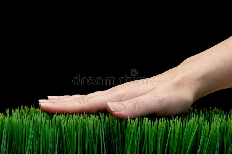 Female Hand on Green Grass on Black Stock Image - Image of fingers ...