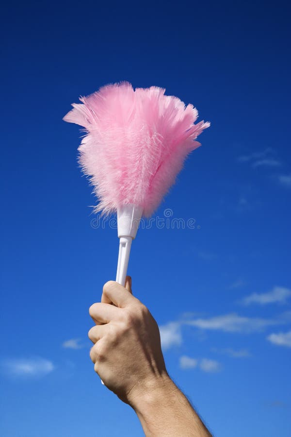 Female Hand Holding a Duster. Stock Image - Image of woman, space: 2044121
