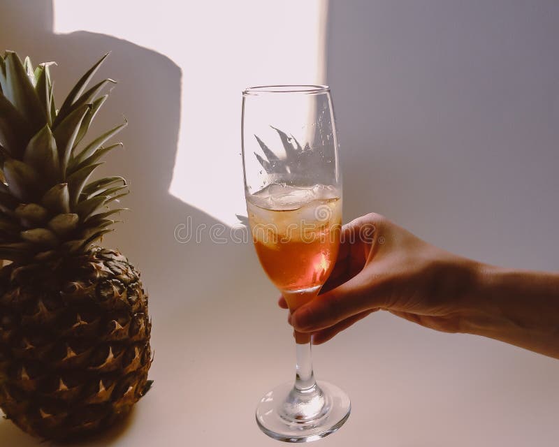 Female Hand Holding Glass Cocktail Sunlight Shadow Stock Image - Image ...
