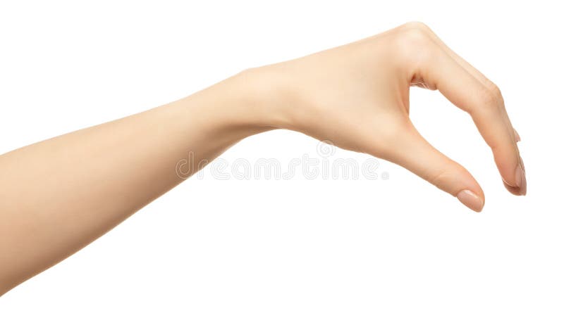 696 Female Hand Holding Invisible Object Stock Photos - Free & Royalty ...