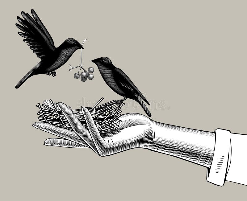 A Female Hand Holding a Nest Made of Twigs and Two Birds Stock Vector ... A Female Hand Holding a Nest Made of Twigs and Two Birds Stock Vector ...