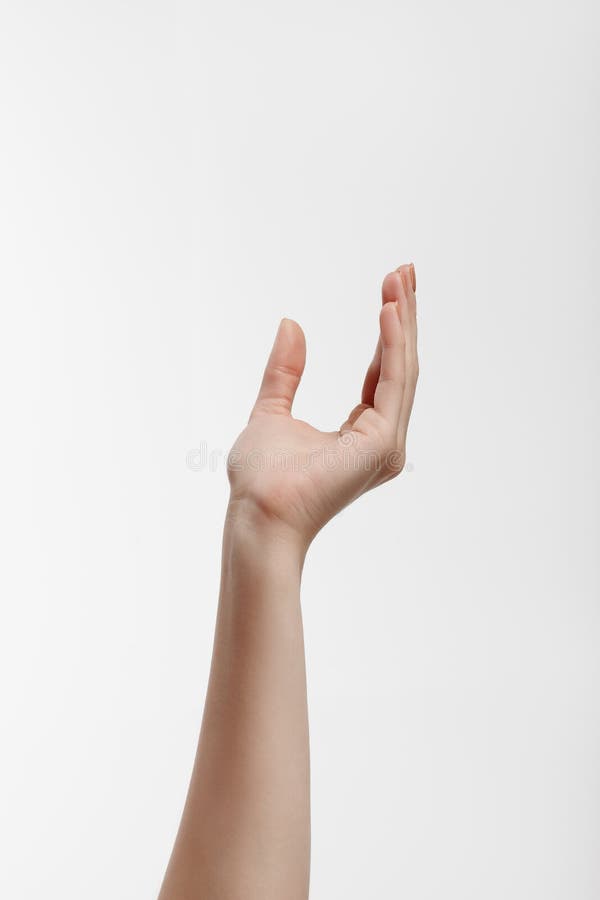 Female Hand Holding or Taking Something Stock Photo - Image of concept ...