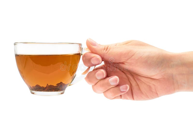 Female Hand Holds a Cup of Tea. Isolated on White Background Stock ...