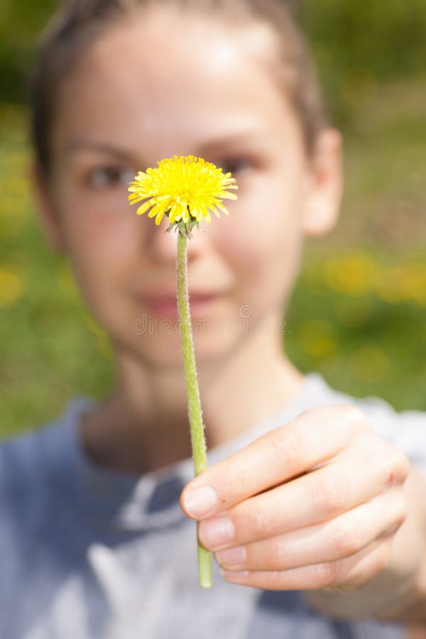 Female Hand Holds a Dandelion Flower Stock Photo - Image of bloom ...